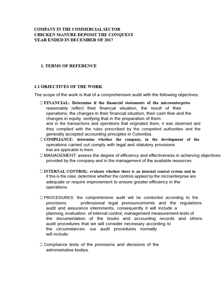Example of External Audit | PDF | Audit | Internal Control