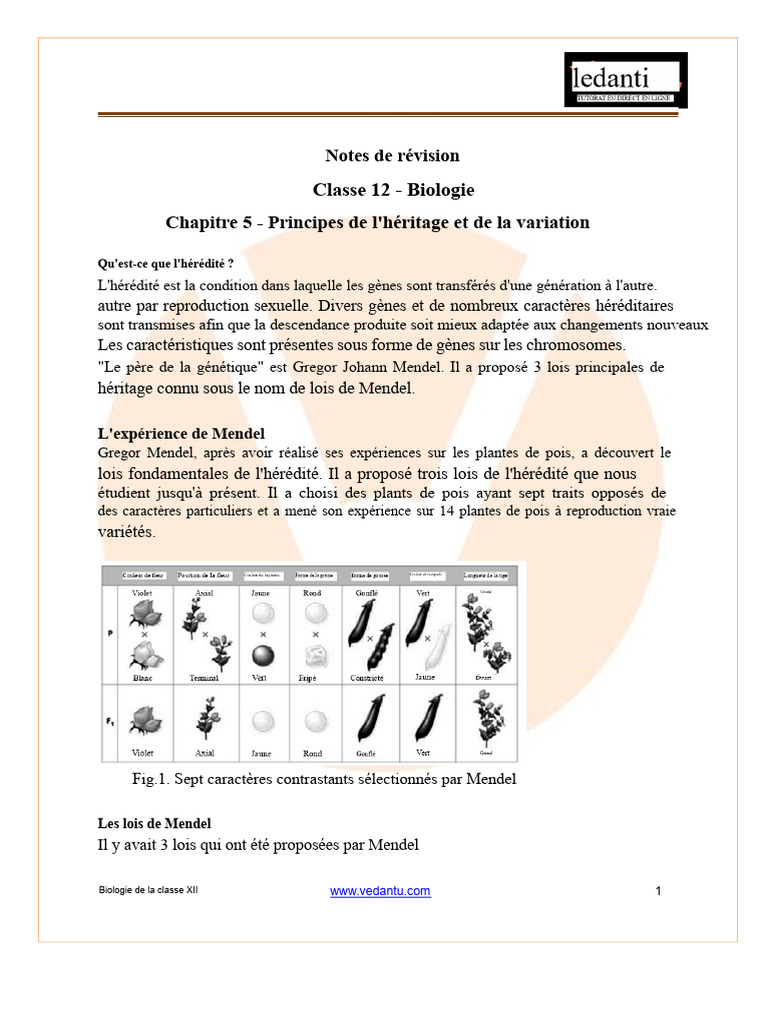 Hérédité et lois de Mendel en biologie | PDF | Dominance (Génétique ...