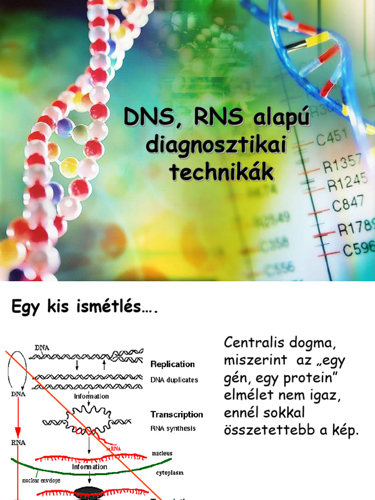 6ea DNS RNS Alpú Technikák 2022 | PDF