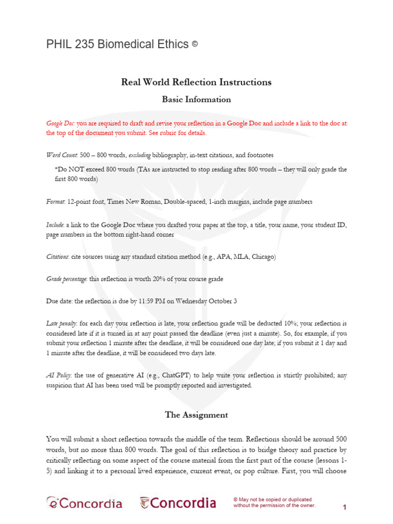 Real World Reflection Instructions | PDF | Citation | Experience