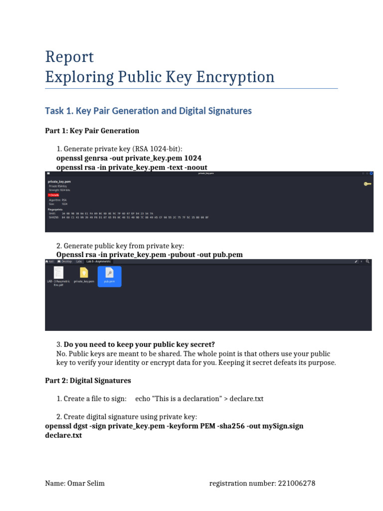Lab 3 Assignment | PDF | Public Key Cryptography | Key (Cryptography)