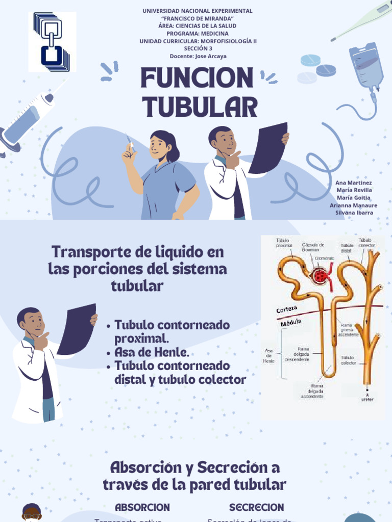 Función Tubular y Equilibrio Ácido-Básico | PDF | Solución tampón ...