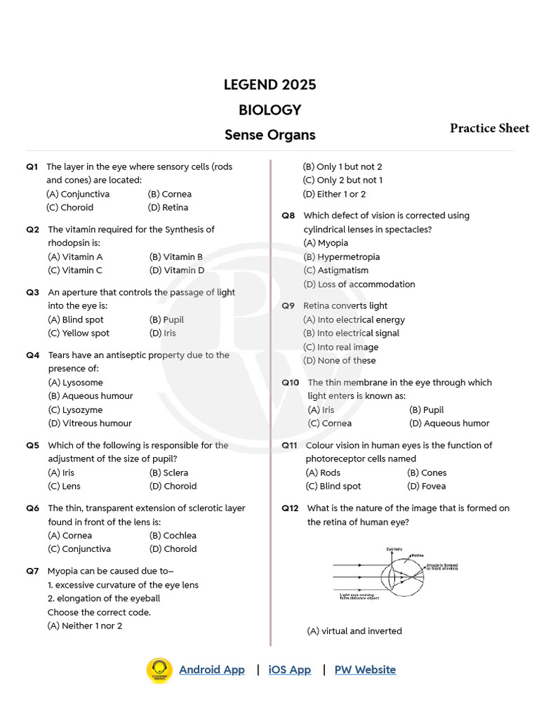 Eye Anatomy and Vision Quiz | PDF | Eye | Retina