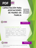 Convocatoria Fortalecimiento DIPRO 2025 - 250611 - 183938 | PDF | Policía