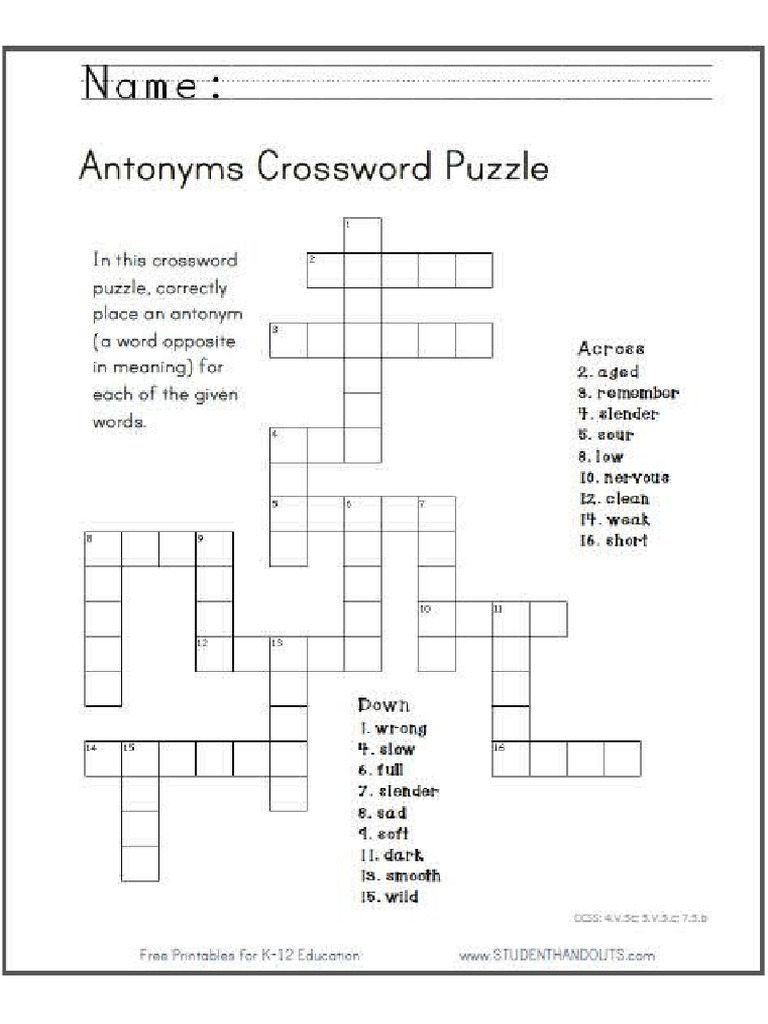 Grade 5 Irregular Verb and Antonym | PDF