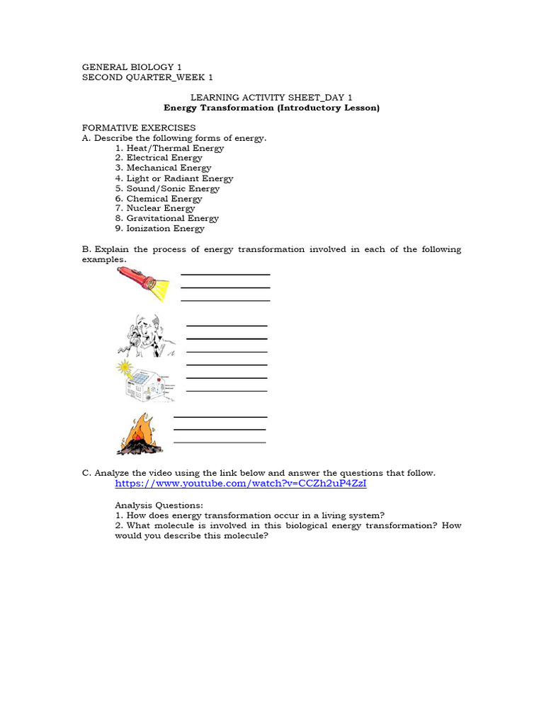 General Biology 1 - Energy Transformation | PDF
