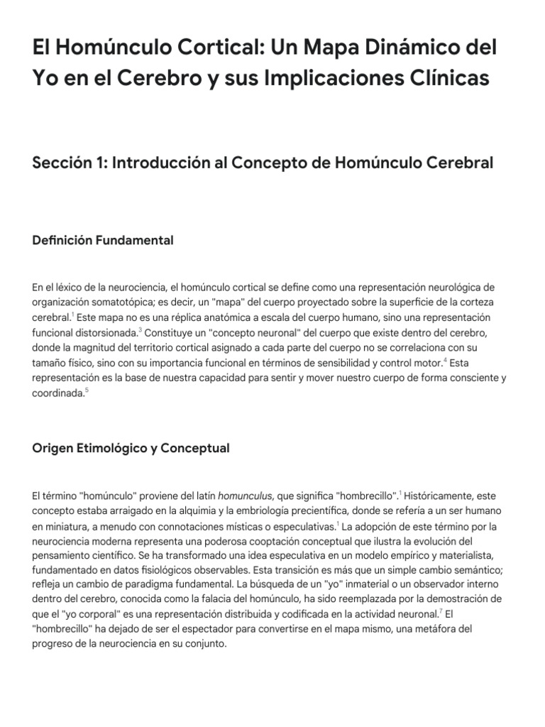 Homúnculo Cerebral - Definición, Tipos, Clínica | PDF | Sistema ...