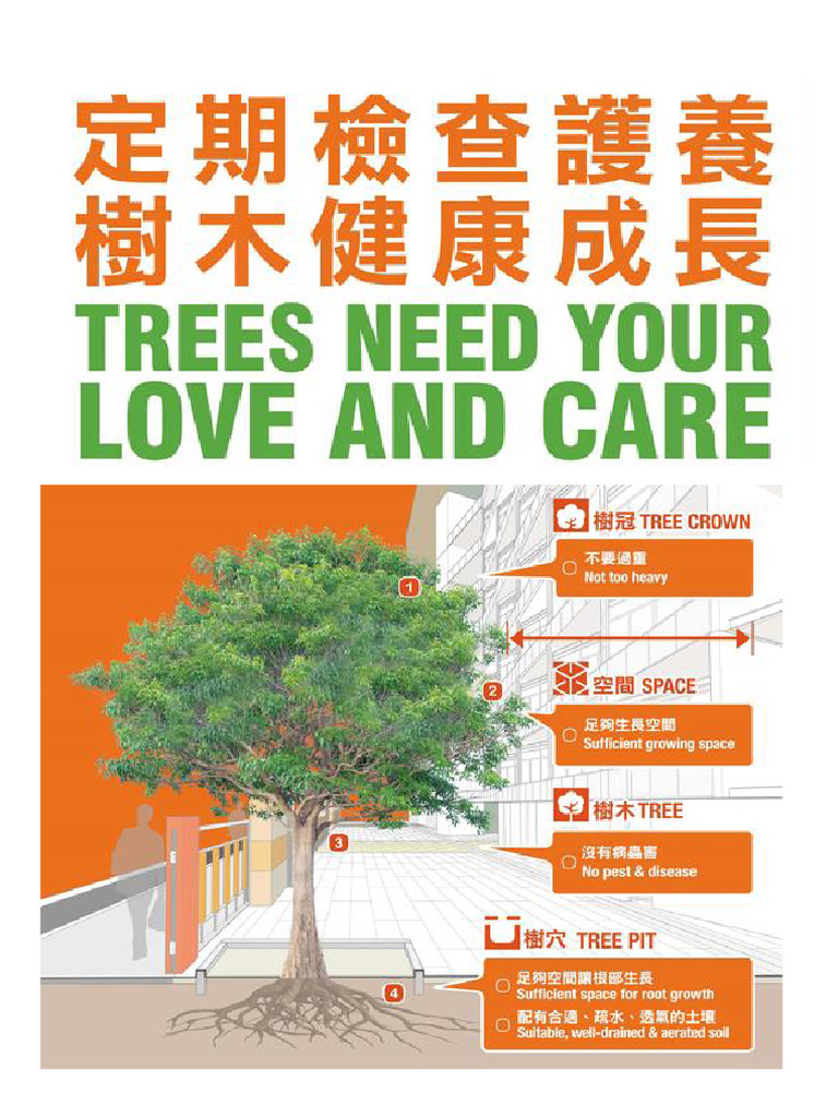 Tree Preservation | PDF