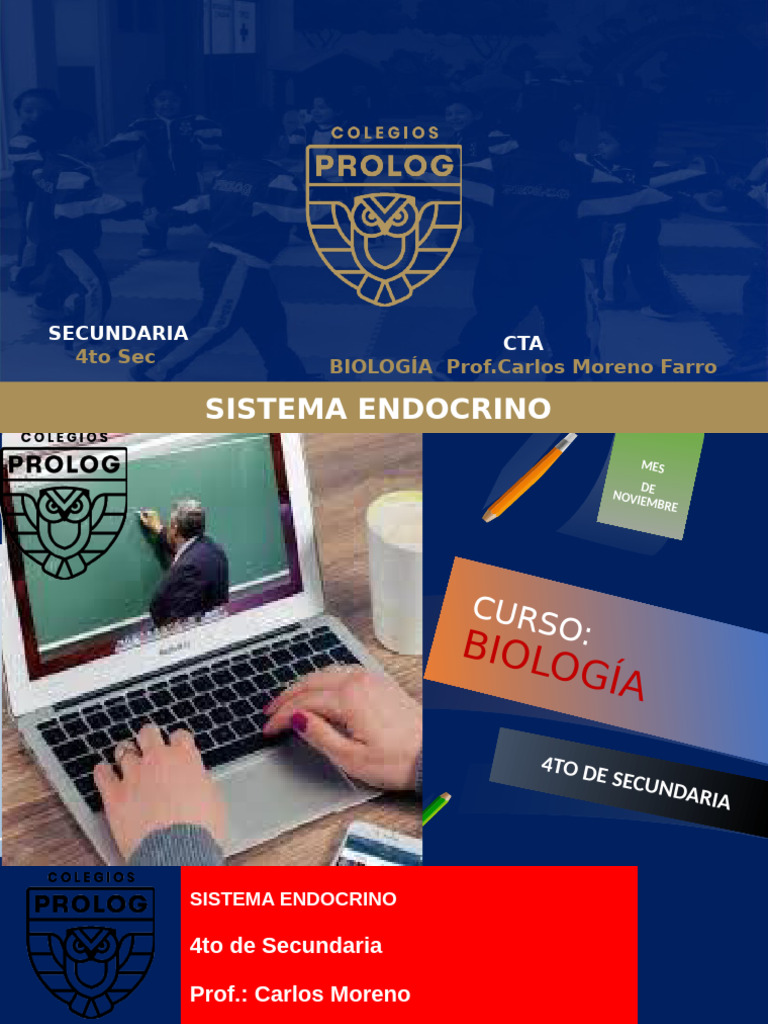 Urgent 4to Sec IV B Sistema Endocrino Prolog | PDF