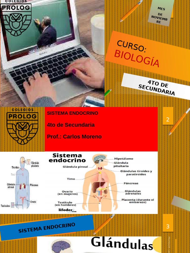Pbh IV b 4to Sec Masterciencia Sistema Endocrino | PDF