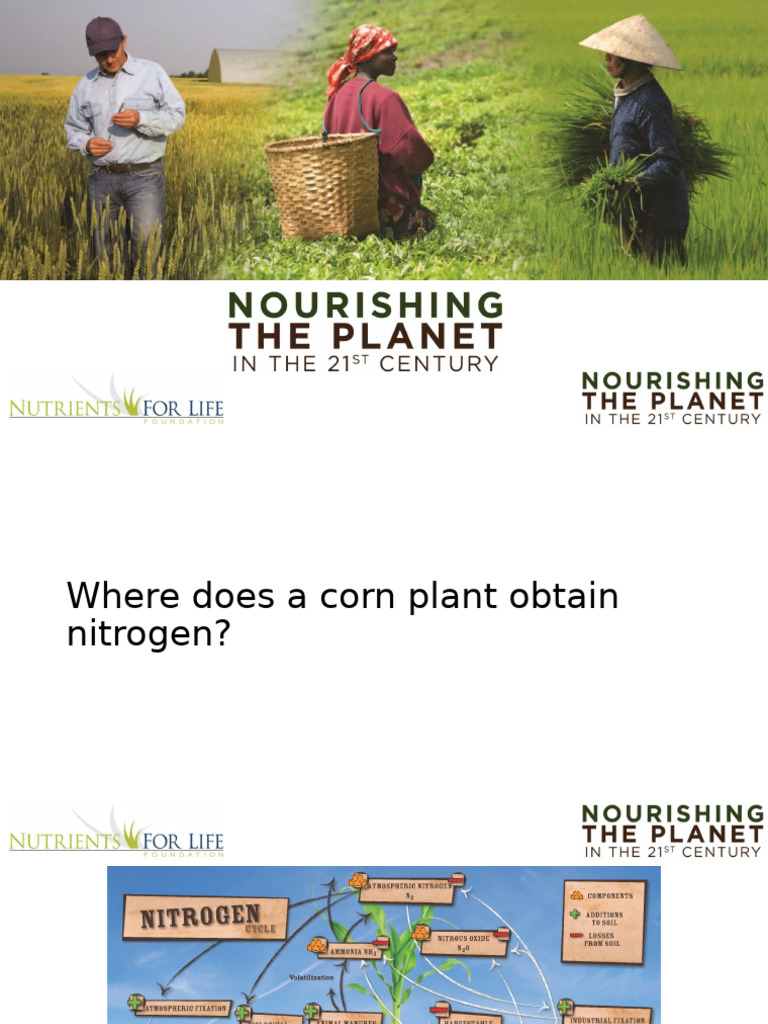 Victoria Reyes Munoz - Lesson 1 - Part 2 Nitrogen and Food Labels ...