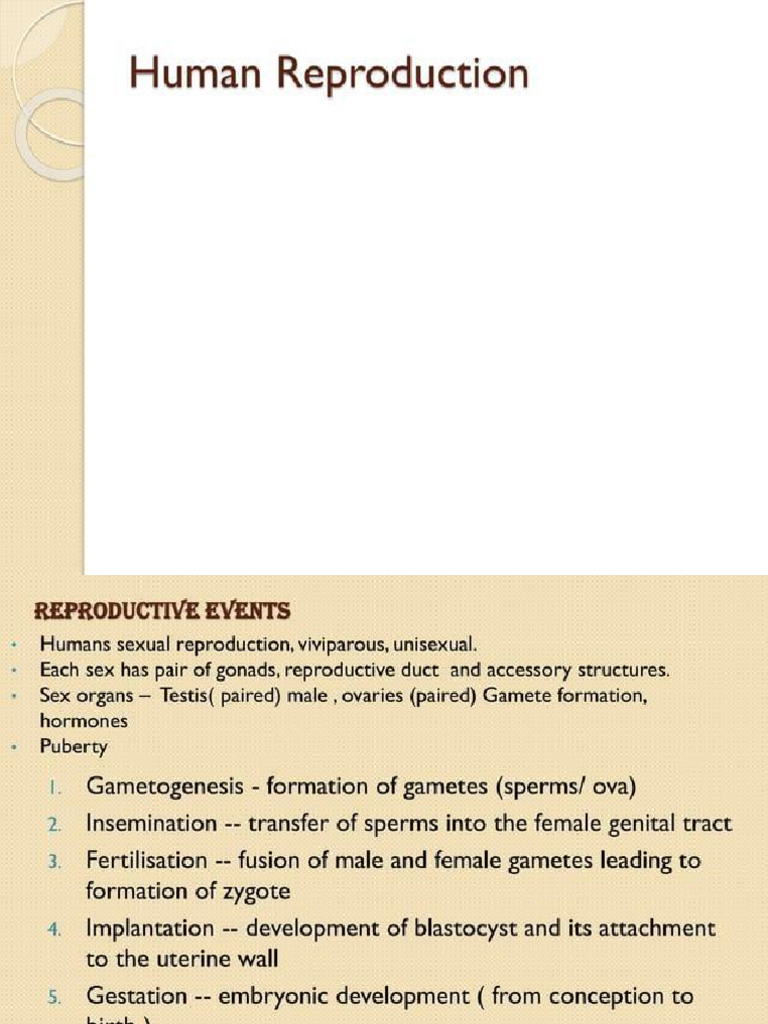 Human-Reproduction Slideshare | PDF