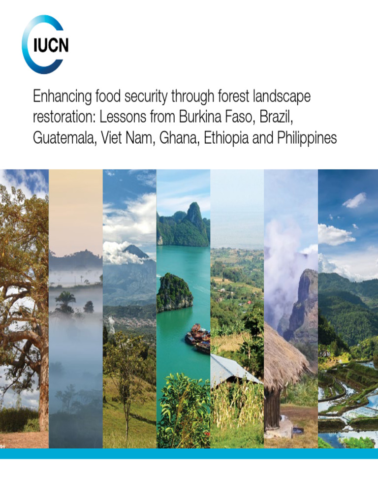 Food Security via Forest Restoration Insights | PDF | Agriculture ...