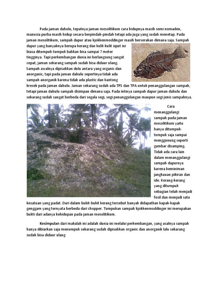 Sejarah Kjokkenmoddinger | PDF