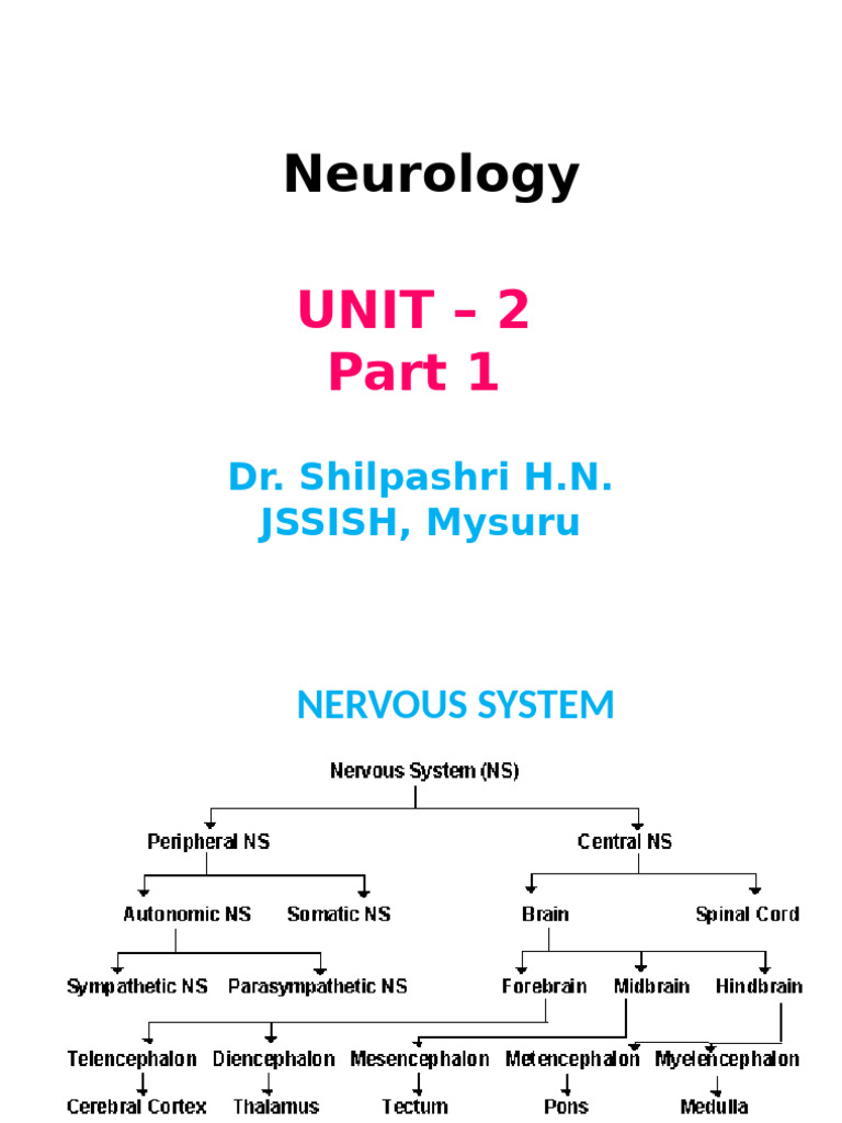 Neurology Unit 2 - Part 1 - DR - Shilpashri H.N | PDF | Brainstem ...