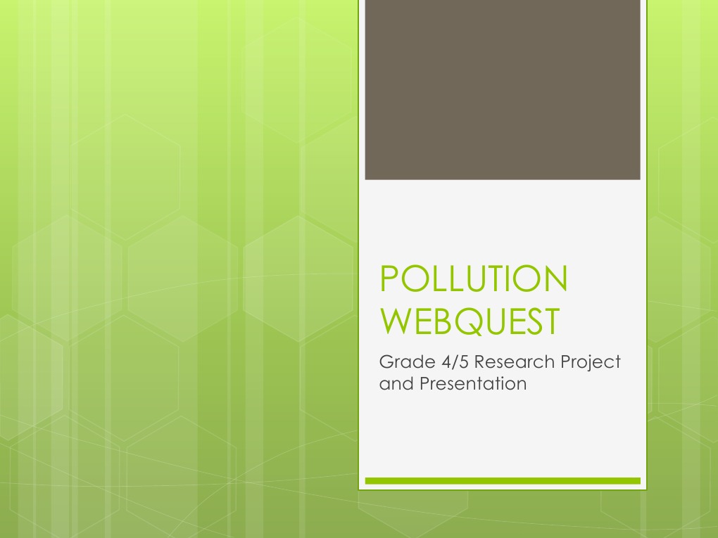 Pollution Webquest | PDF | Pollution | Water