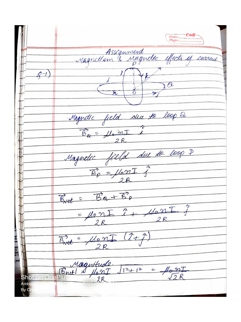 Physics Assignment | PDF