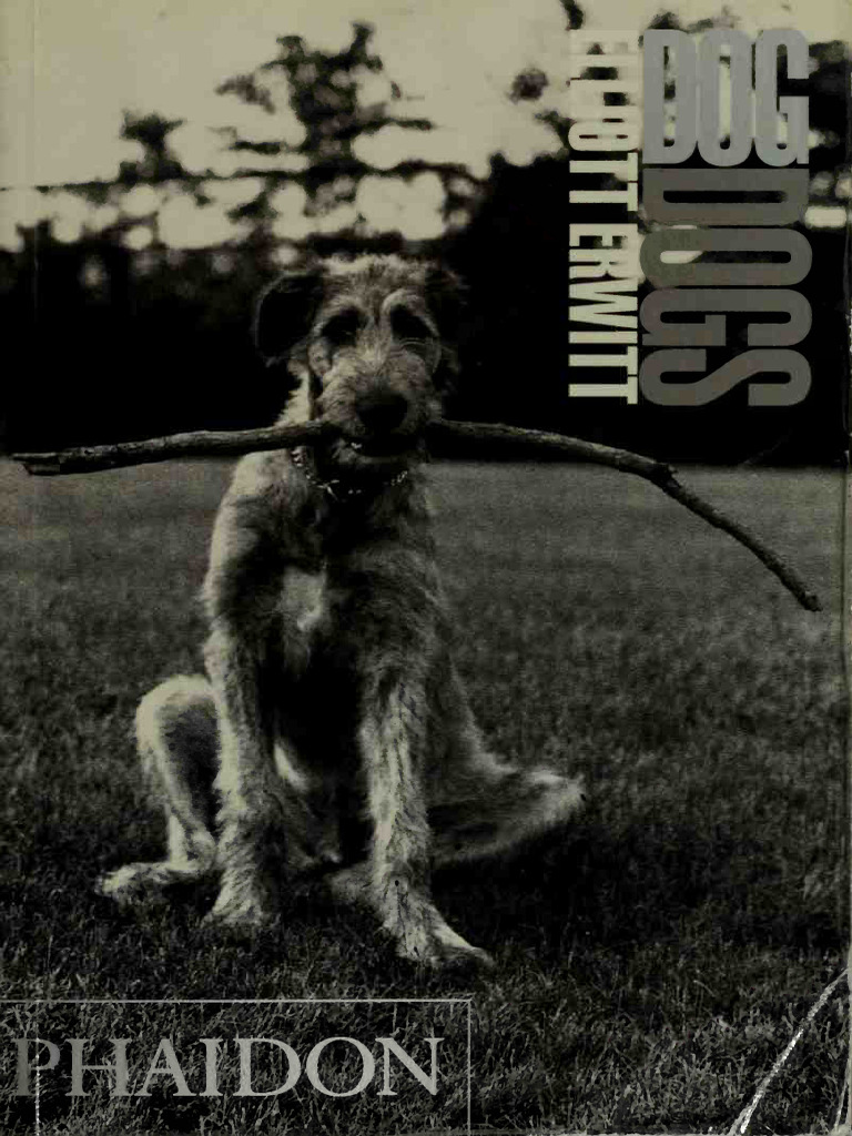 Erwitt Elliott Dog Dogs 1998 | PDF | Zoology | Dogs