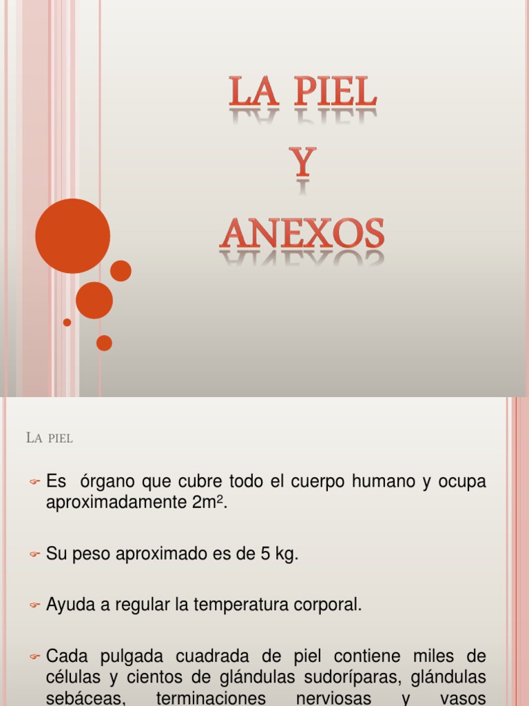 La Piel y Anexos | PDF | Piel | Epidermis