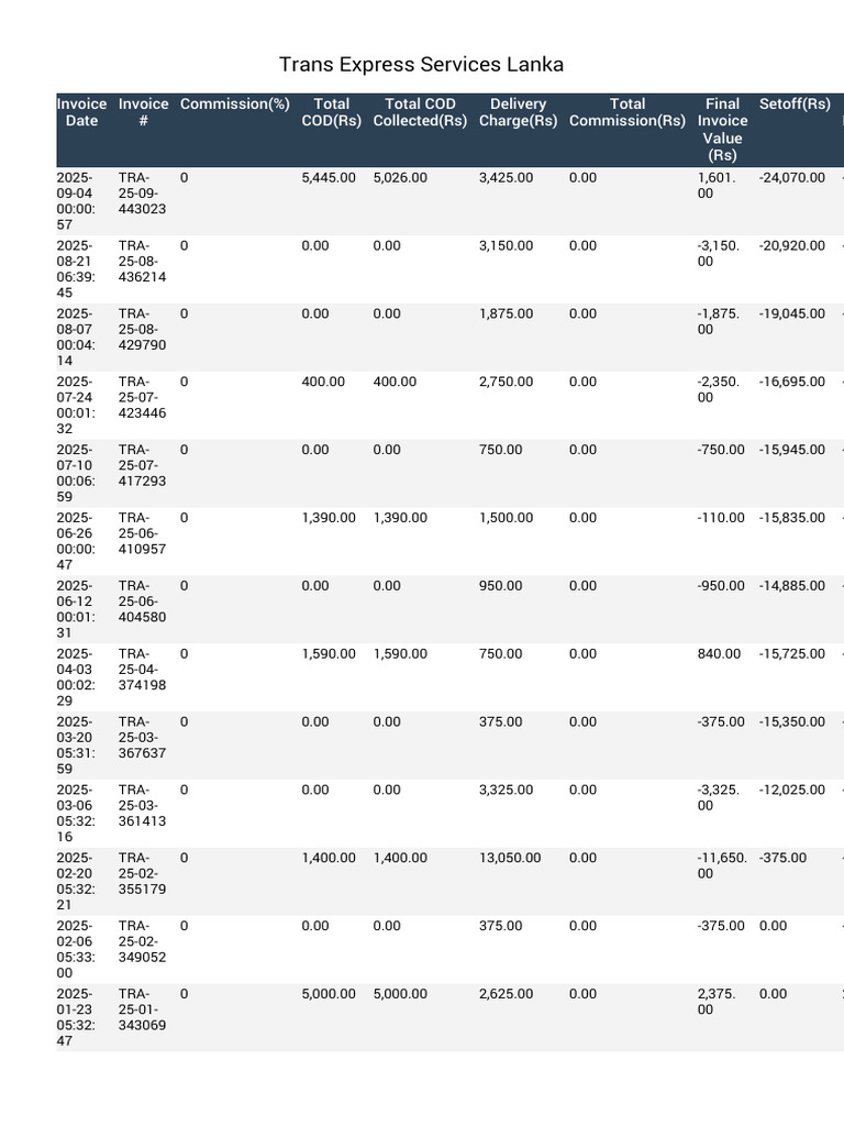 Trans Express Services Invoice Summary | PDF