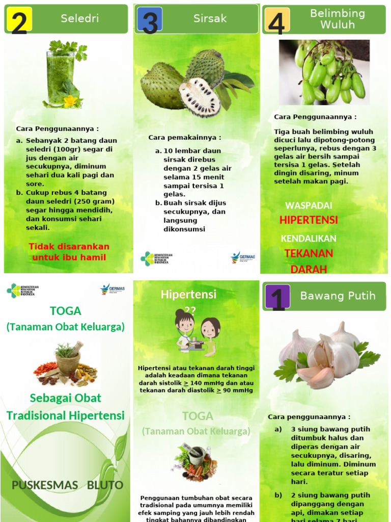 Pengobatan Tradisional Hipertensi dengan TOGA | PDF