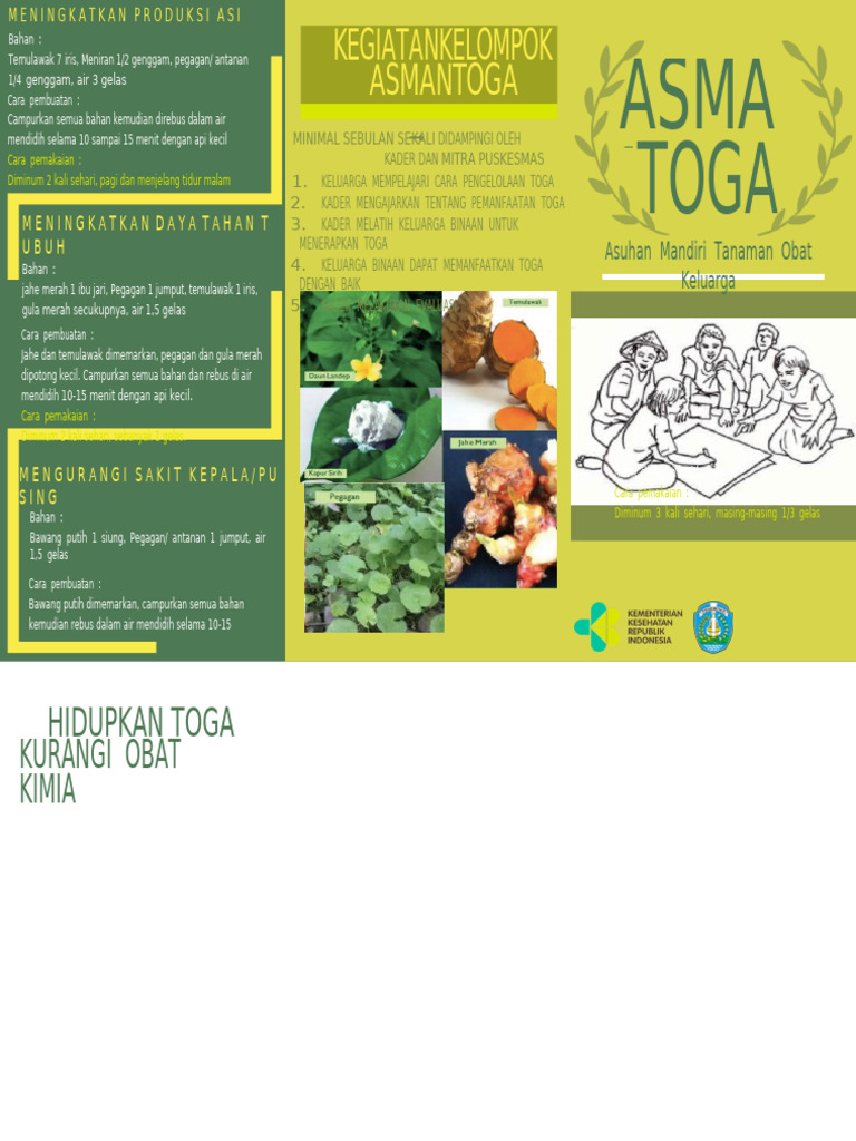 Brosur Asman Toga Leaflet | PDF