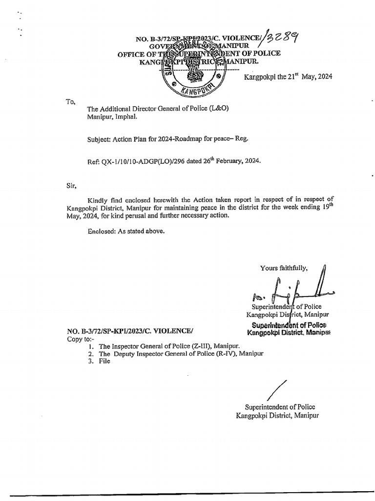 Action Plan 2024 Roadmap 21-5-2024 | PDF
