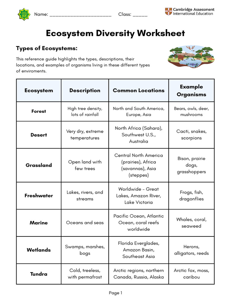 Ecosystem Diversity Science Worksheet | PDF | Grassland | Ecosystem