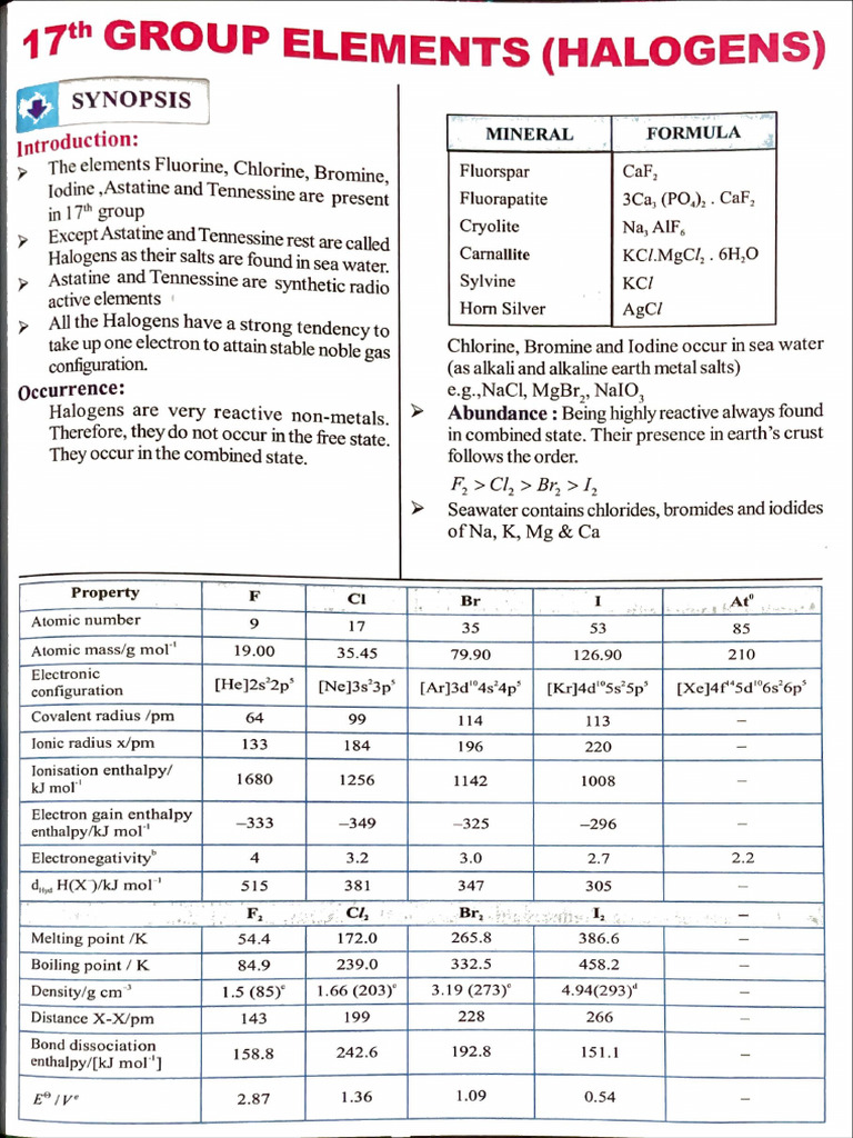 Group 17 Notes | PDF