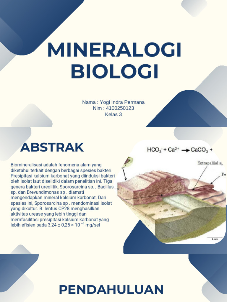 Ppt Mineralogi Biologi Yogi Indra p. | PDF
