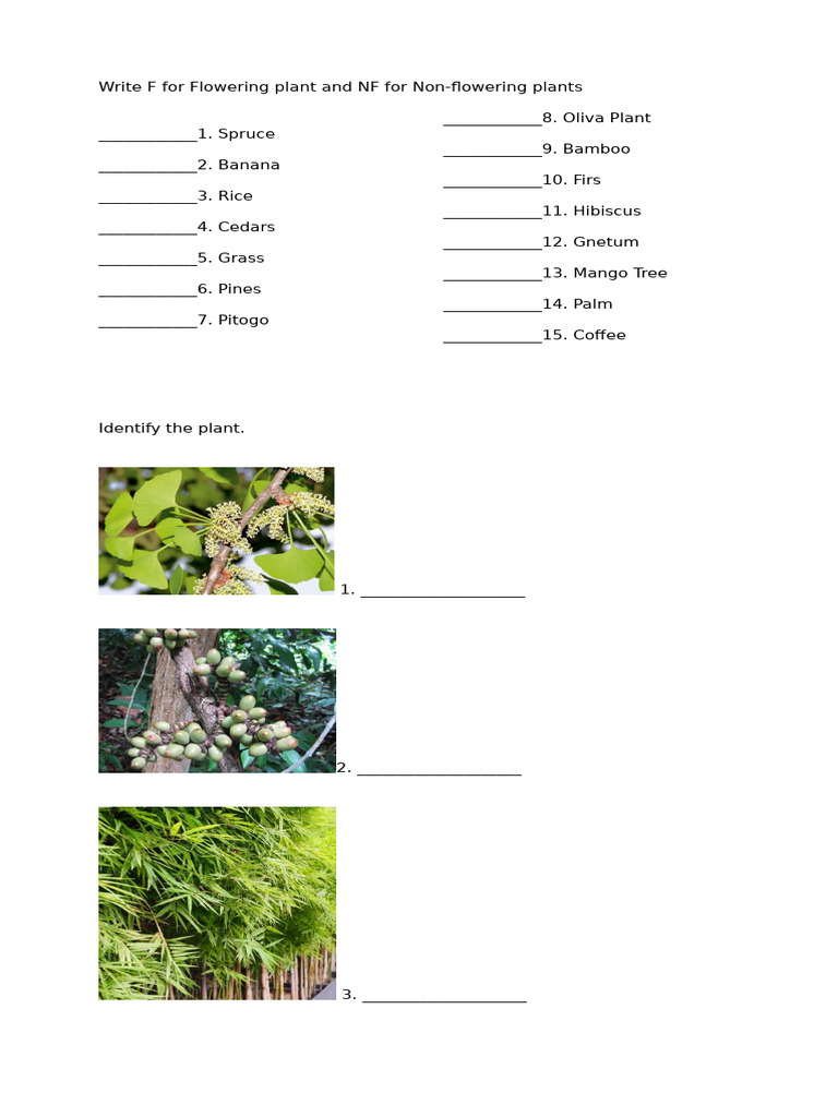 Flowering and Non Flowering Plant | PDF