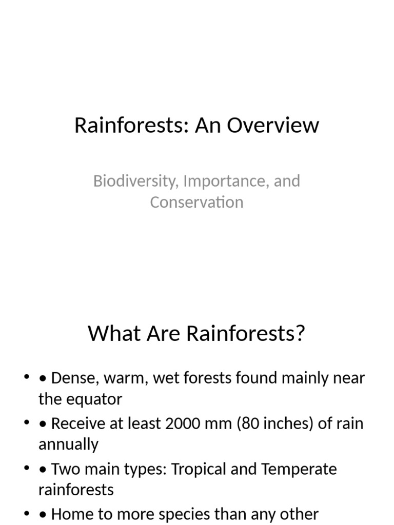 Rainforests Presentation | PDF