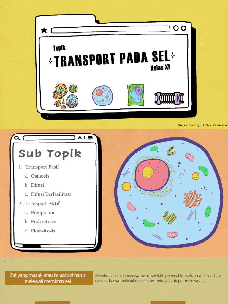 Proses Transport Sel: Osmosis & Difusi | PDF