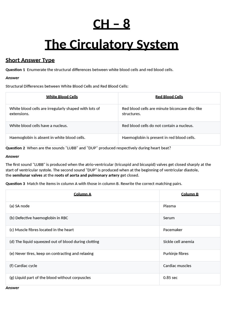 Circulatory System: Key Concepts Explained | PDF | Vein | Heart