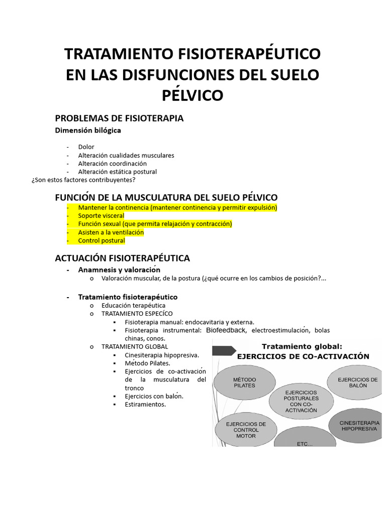 Tratamiento Fisioterapéutico en Las Disfunciones Del Suelo Pélvico | PDF | Abdomen | Sistema ...