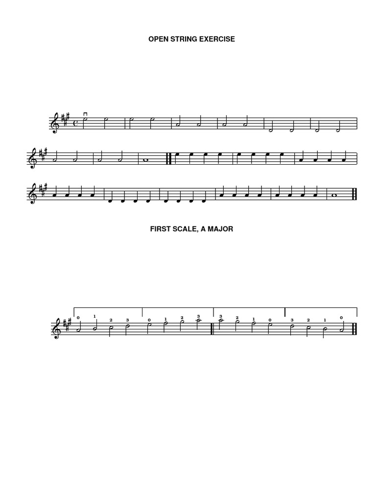Violin Beginner's Guide: Scales & Exercises | PDF | Violin | String ...