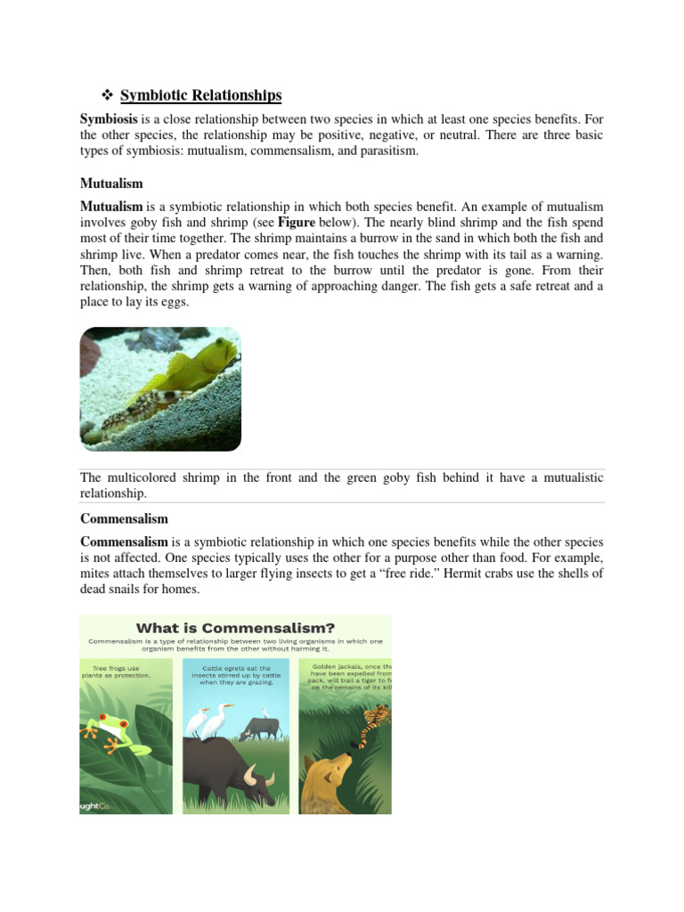 Types of Symbiotic Relationships Explained | PDF | Symbiosis | Parasitism