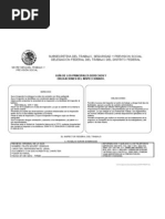 Nom 021 Stps Formato Cm2a Cm2b | PDF
