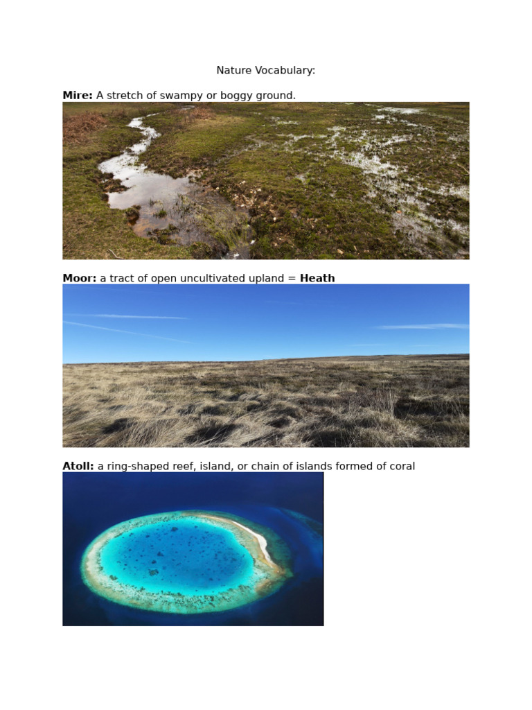 Nature Vocabulary | PDF