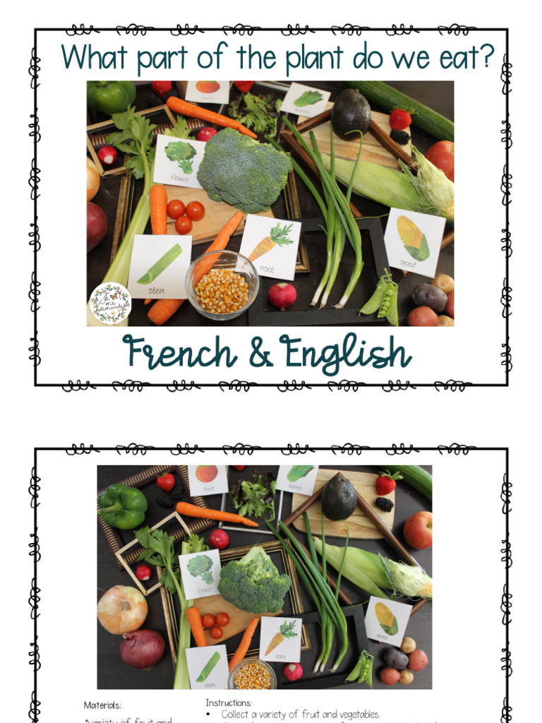 What Part of The Plant Do We Eat? | PDF