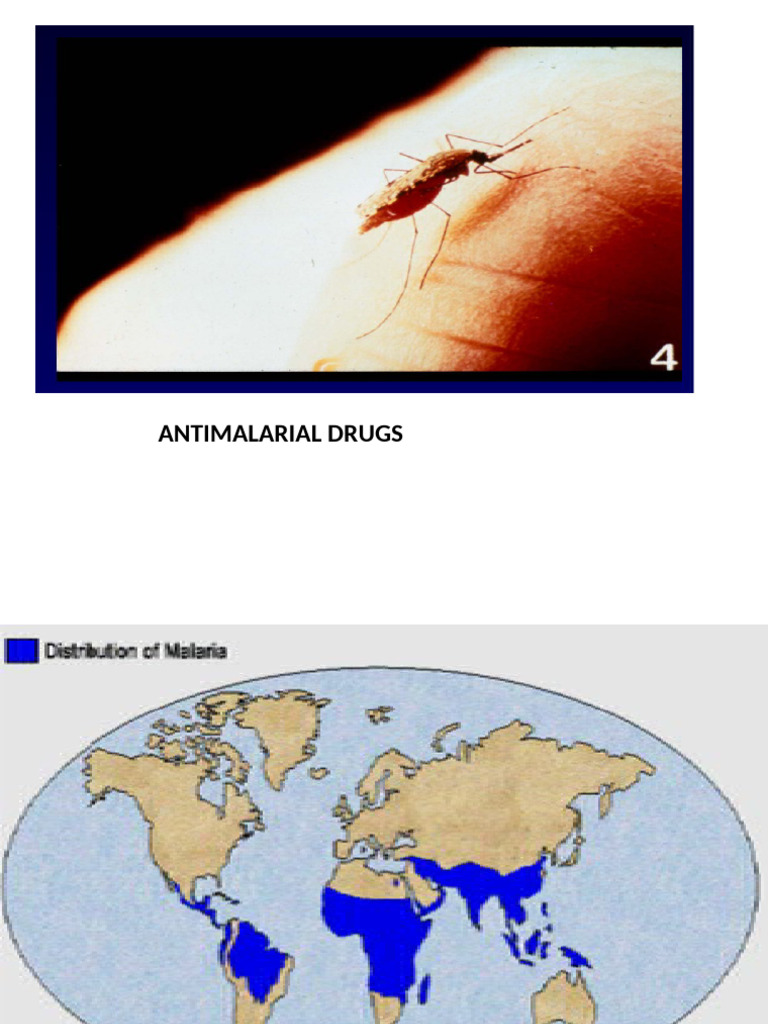 Antimalarial Drugs | PDF | Malaria | Plasmodium Falciparum