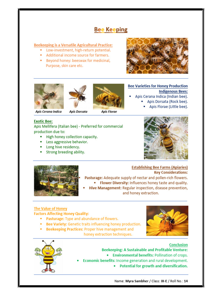 Bee Keeping 1 | PDF