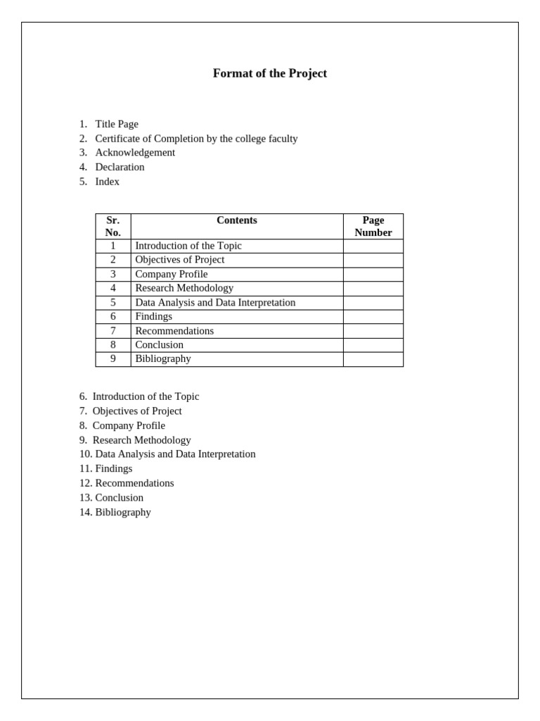 50 Marks Project Report Format | PDF
