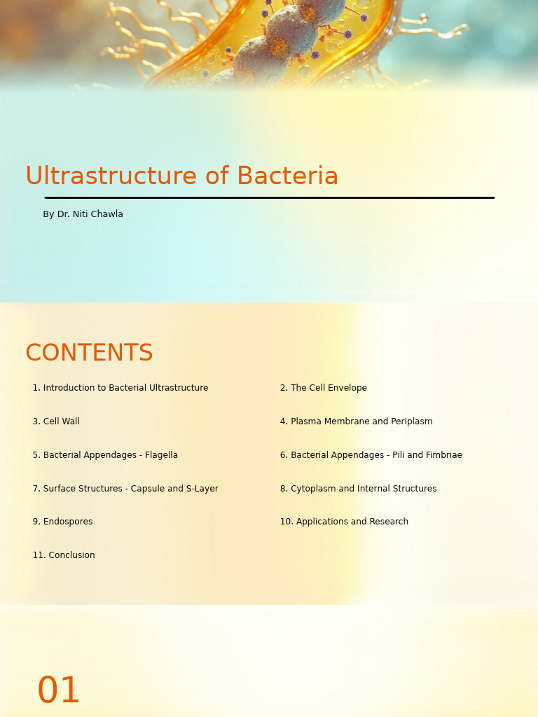 Bacterial Ultrastructure Explained | PDF | Bacteria | Cell Membrane