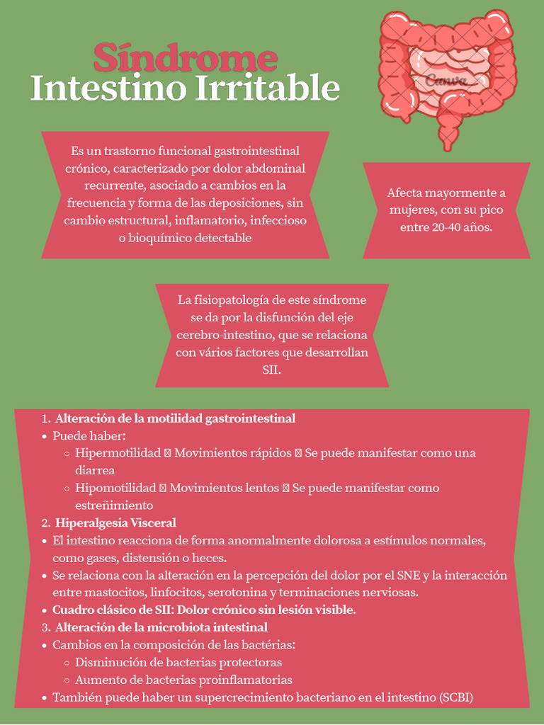 Síndrome del Intestino Irritable: Causas y Síntomas | PDF | Síndrome ...