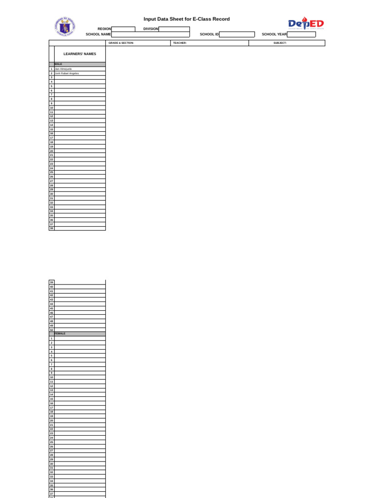 E-Class Record Input Data Sheet | PDF