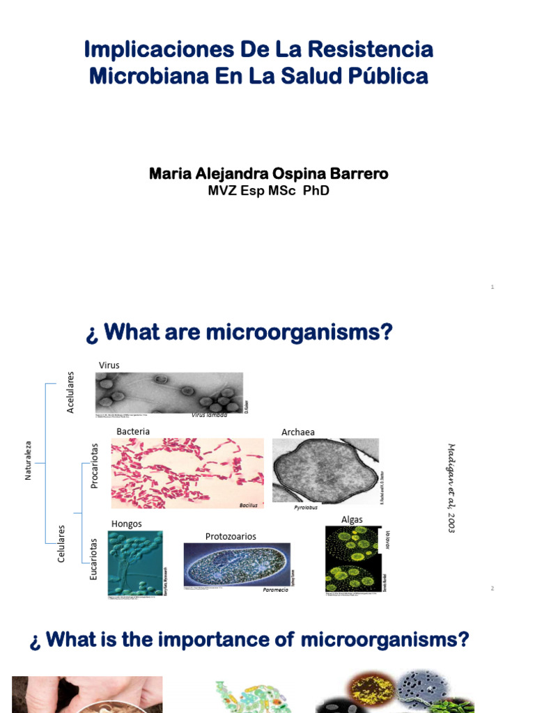 Implicaciones de La Resistencia Microbiana en La Salud Pública | PDF ...