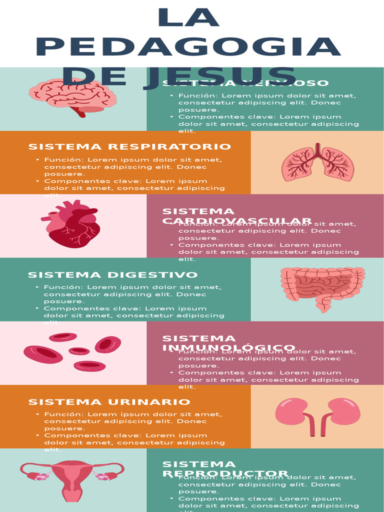Funciones y Componentes de Sistemas Biológicos | PDF