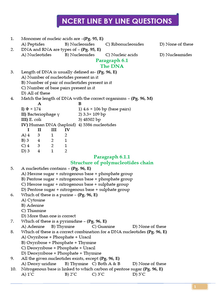 DNA Structure and Nucleotide Basics | PDF | Operon | Translation (Biology)