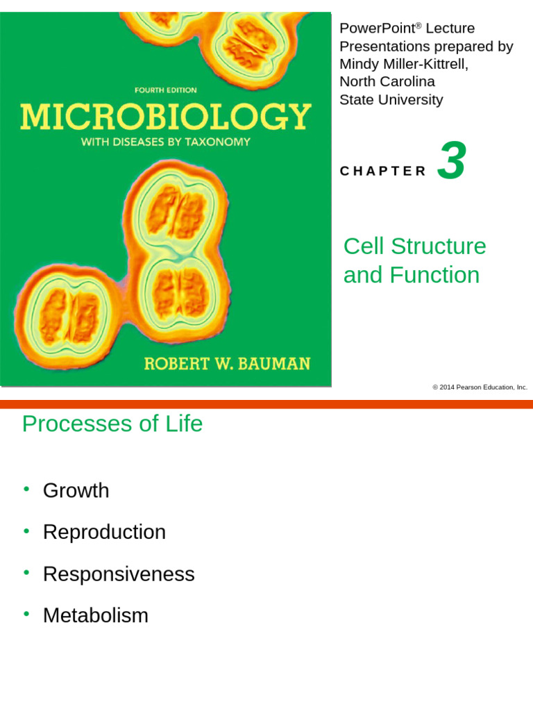 Chapter 3 - Cell Structure | PDF | Cell (Biology) | Endoplasmic Reticulum